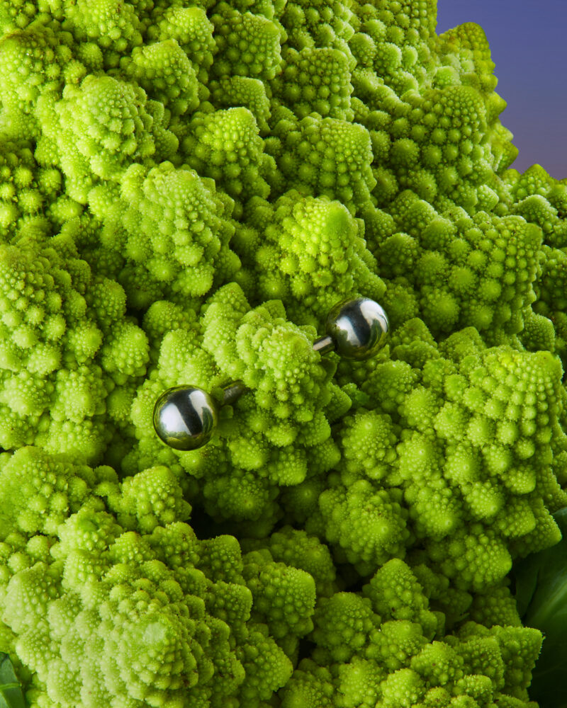 STILL LIFE - Raphaël Lugassy