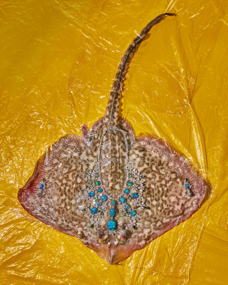 STILL LIFE - Raphaël Lugassy