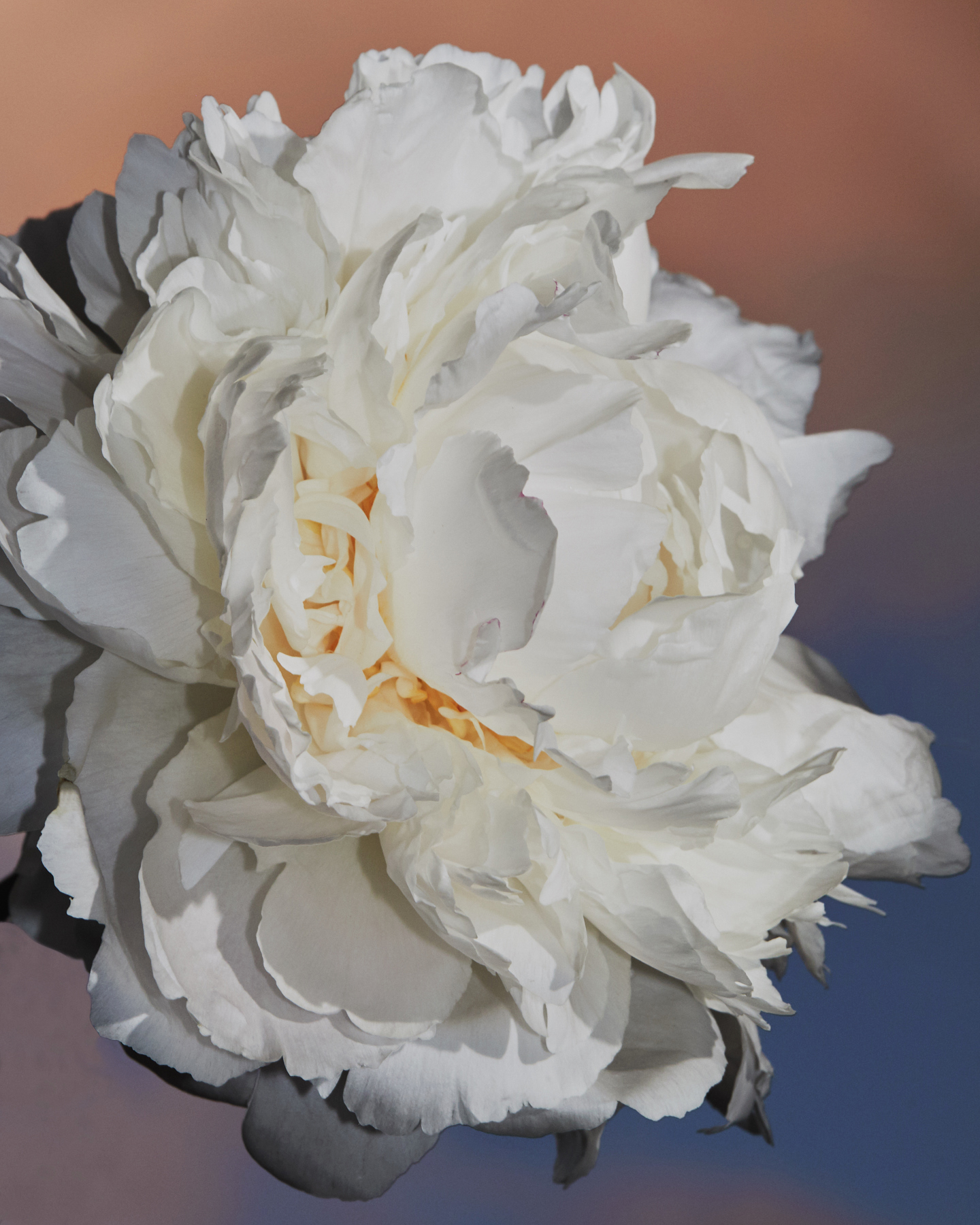 OVERVIEW - Raphaël Lugassy