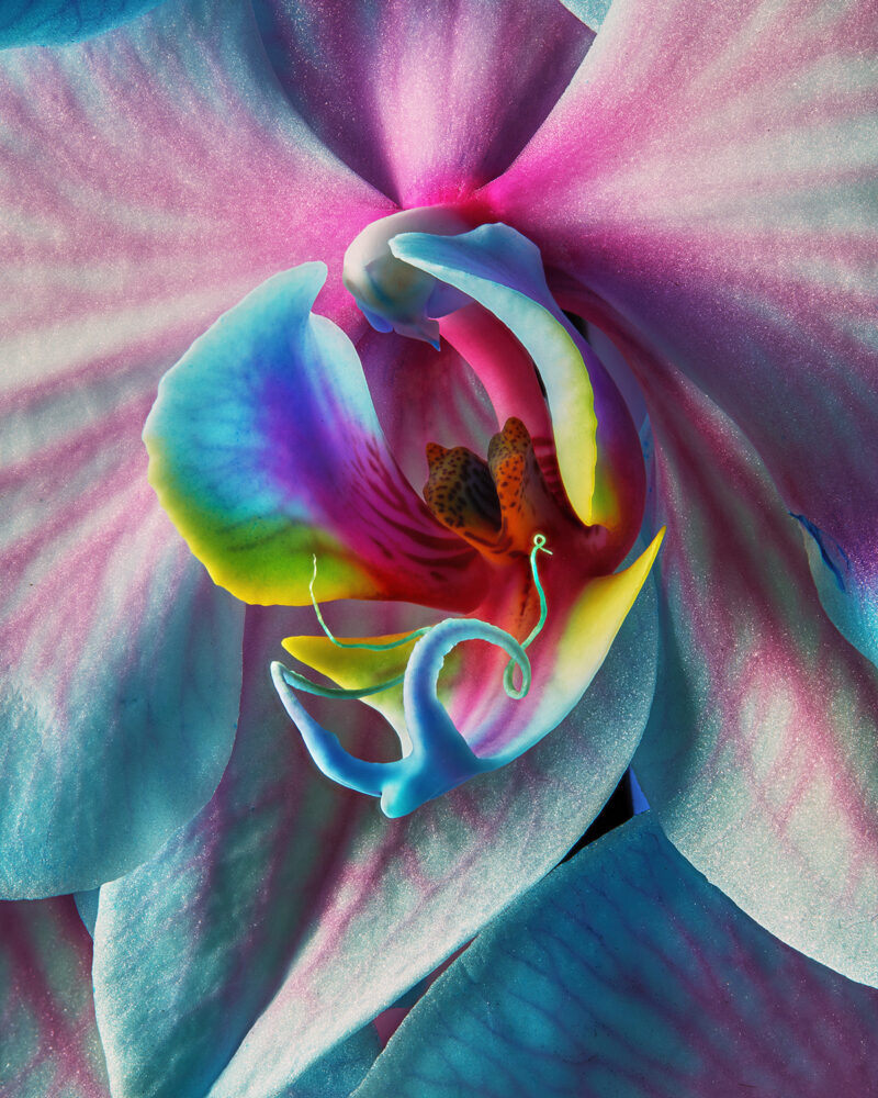 OVERVIEW - Raphaël Lugassy